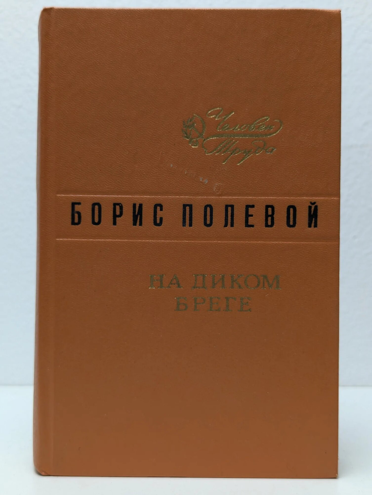 На Диком бреге Полевой Борис Николаевич 1976