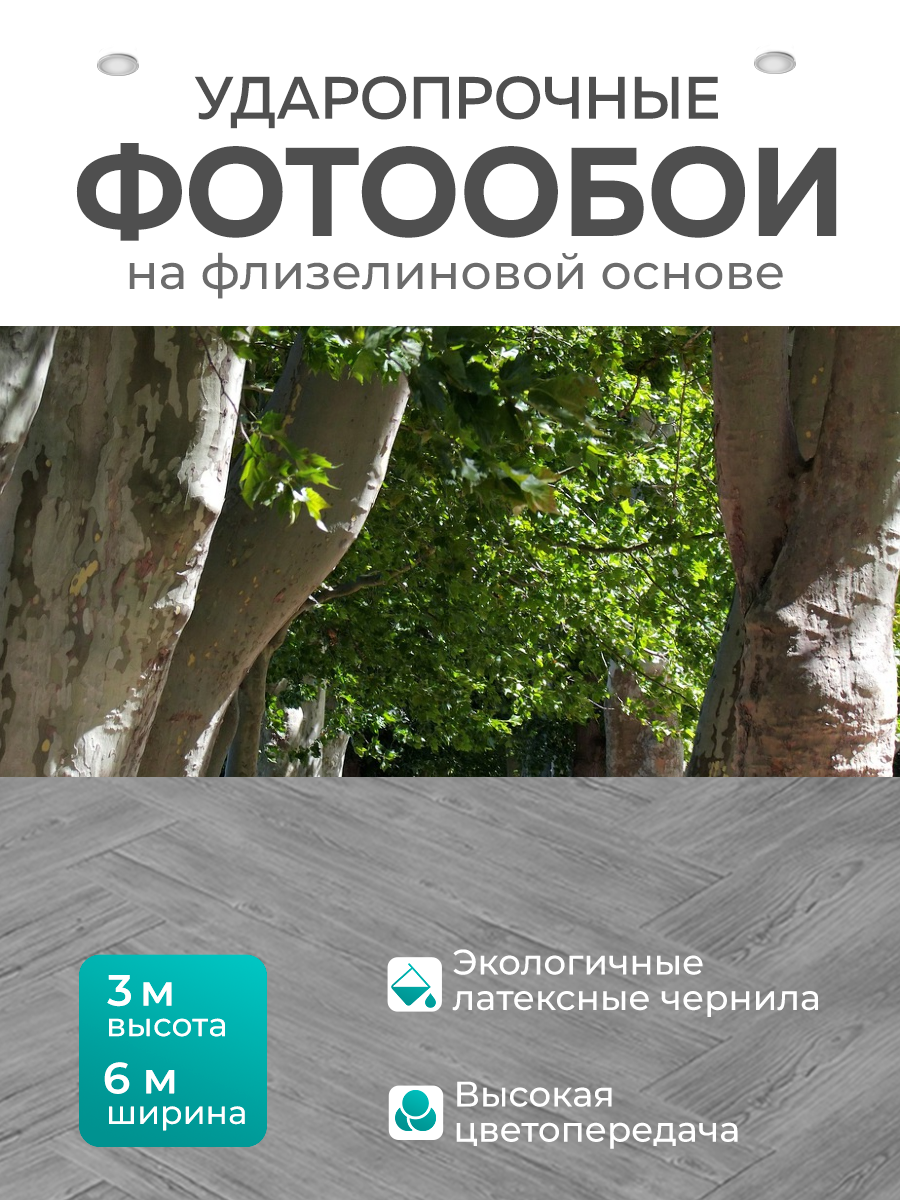 Фотообои моющиеся ударопрочные "Дорога, деревья, платан" 600x300 см. флизелиновые на стену