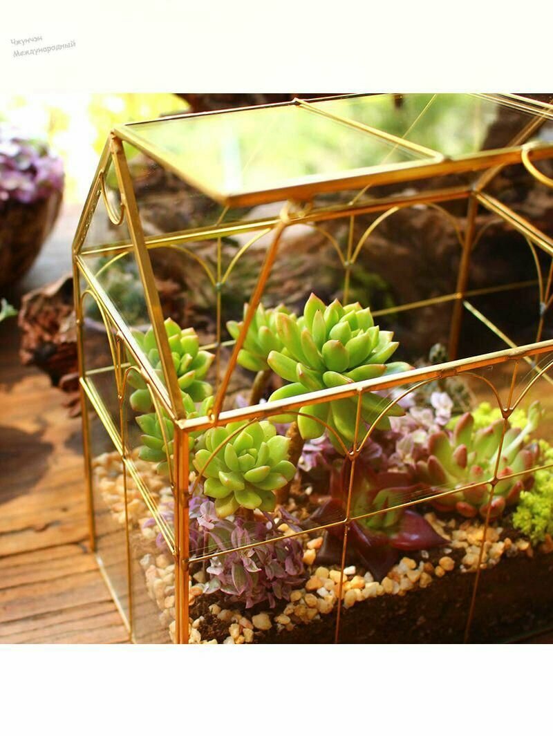 Флорариум Стеклянный