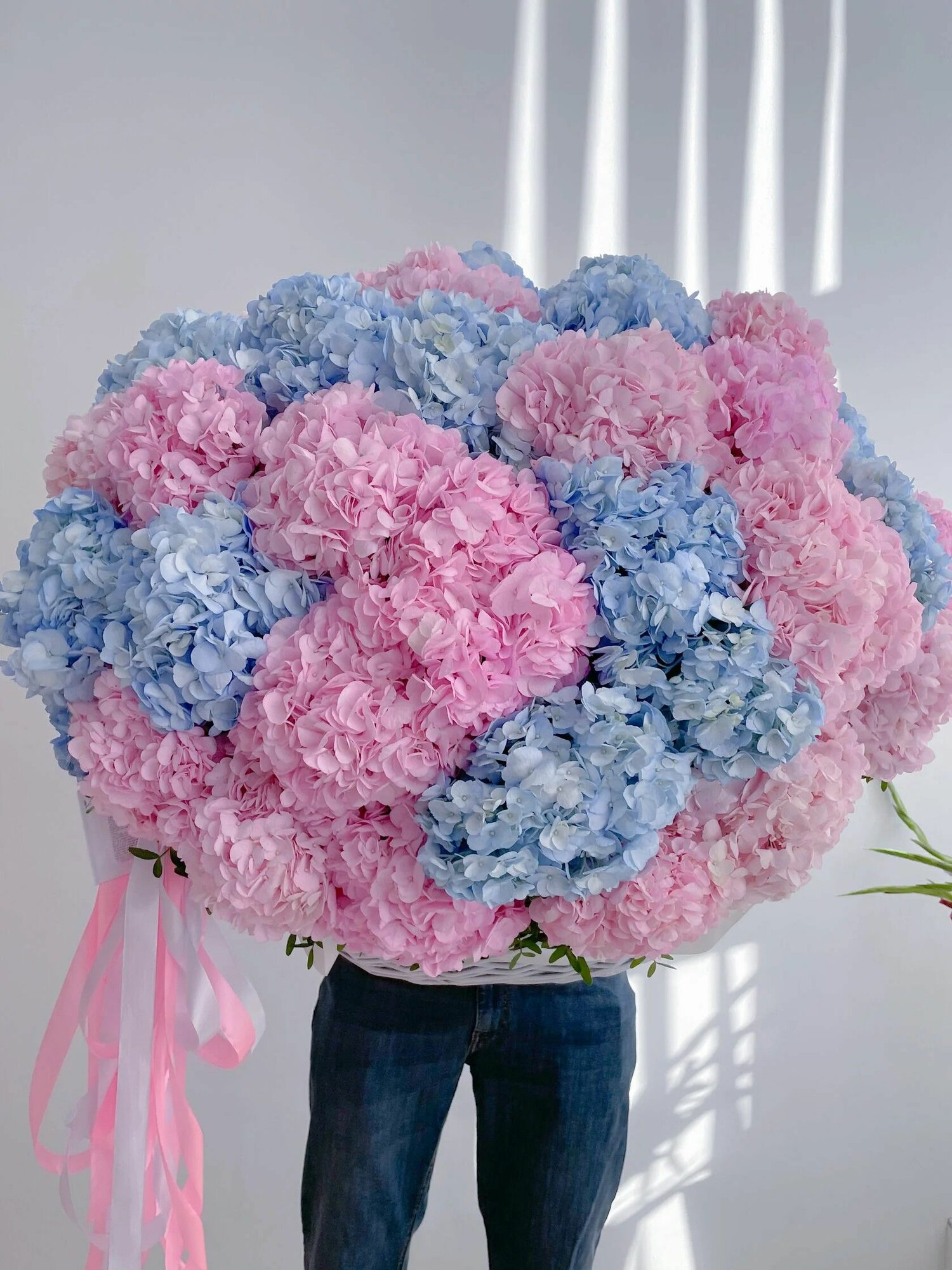 Огромный букет из 45 гортензий в корзине