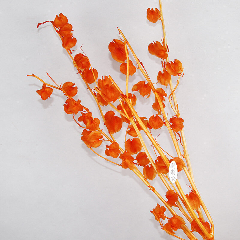 Вечный ветровой колокольчик, фонарь из сухофруктов, свадебное украшение, домашняя цветочная композиция, кислая ягода, настоящий цветок для оконного декора