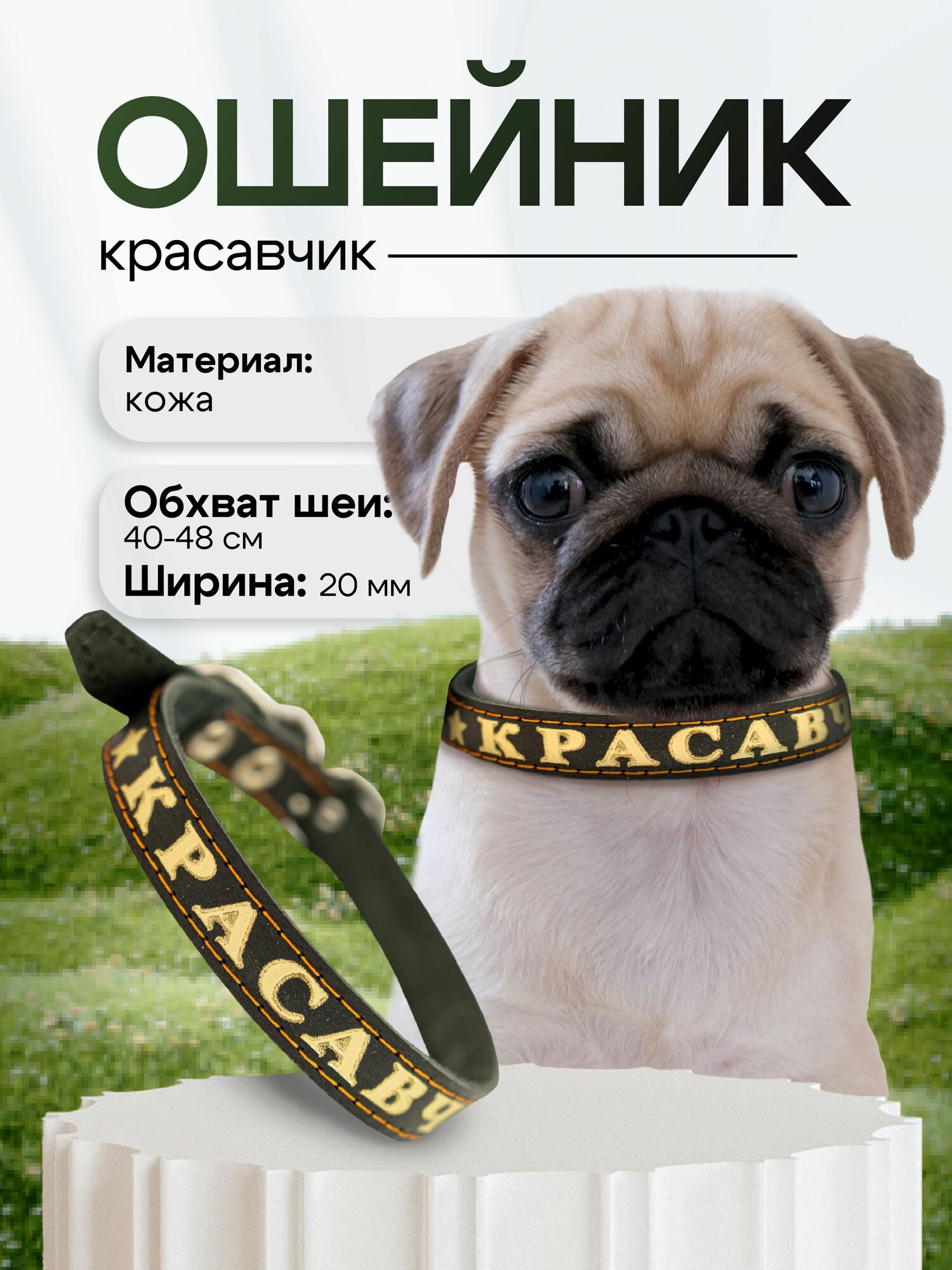 Кожаный ошейник для собак с надписью "Красавчик", черный, 40-48 см, ширина 2 см