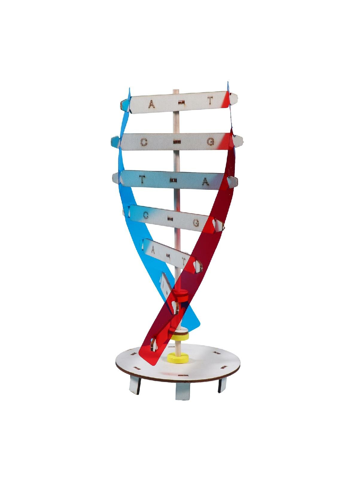 Научный обучающий инструмент игрушка Гены человека Обучающая модель для сборки ДНК