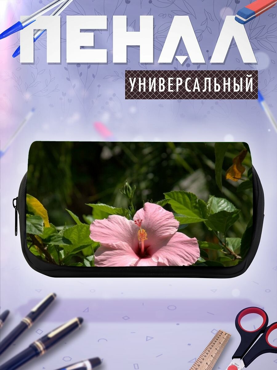 Школьный пенал цветковое растение китайский гибискус