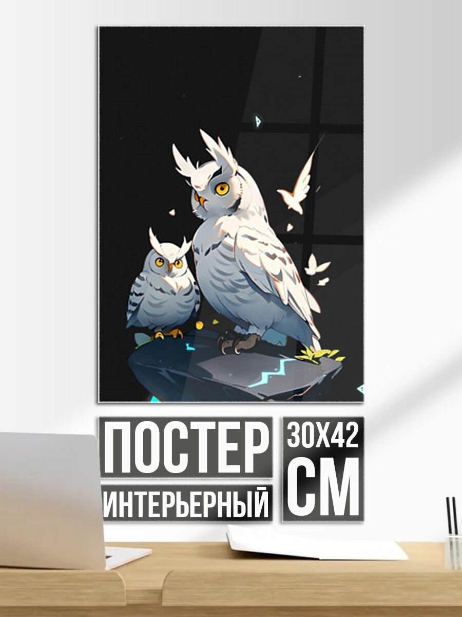 Постер на стену Филины и магия