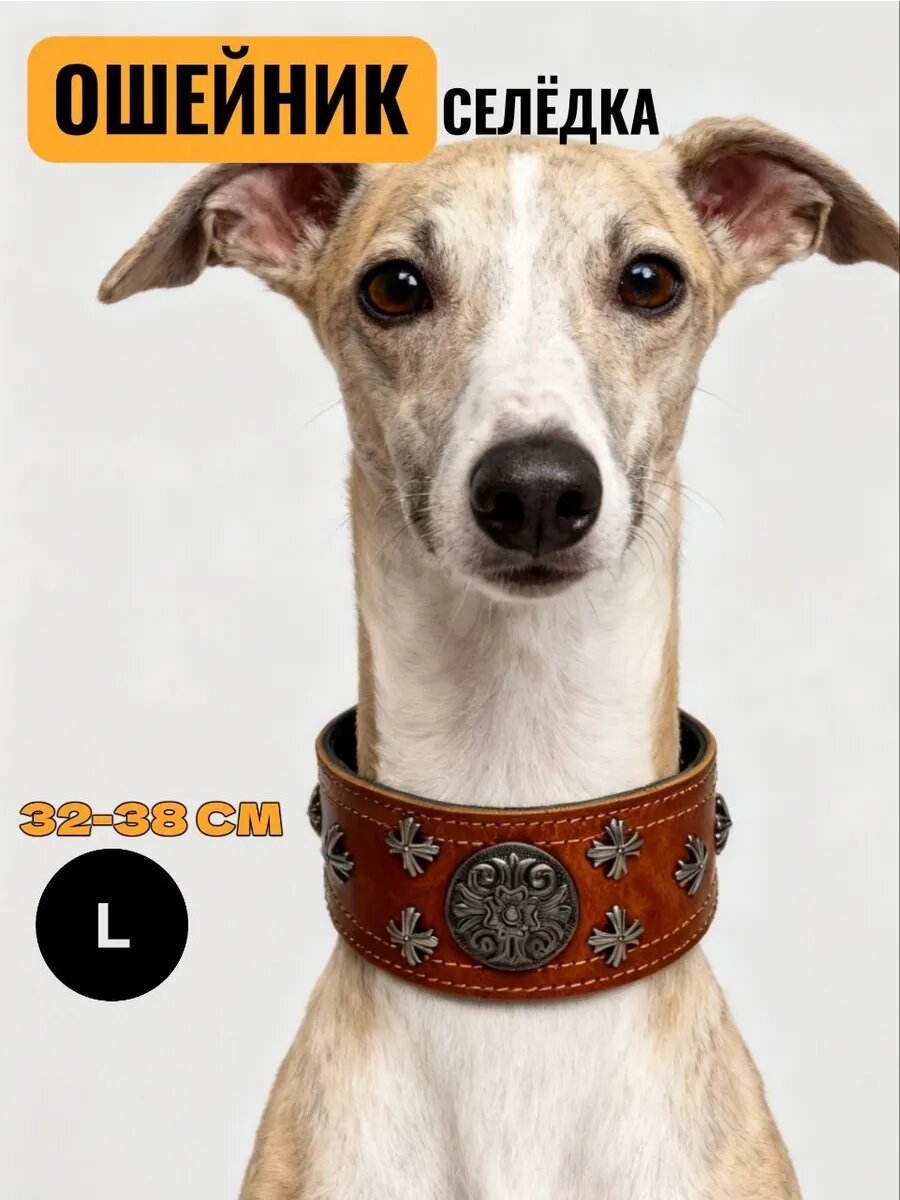 Dogbond ошейник-селедка для малых и средних пород