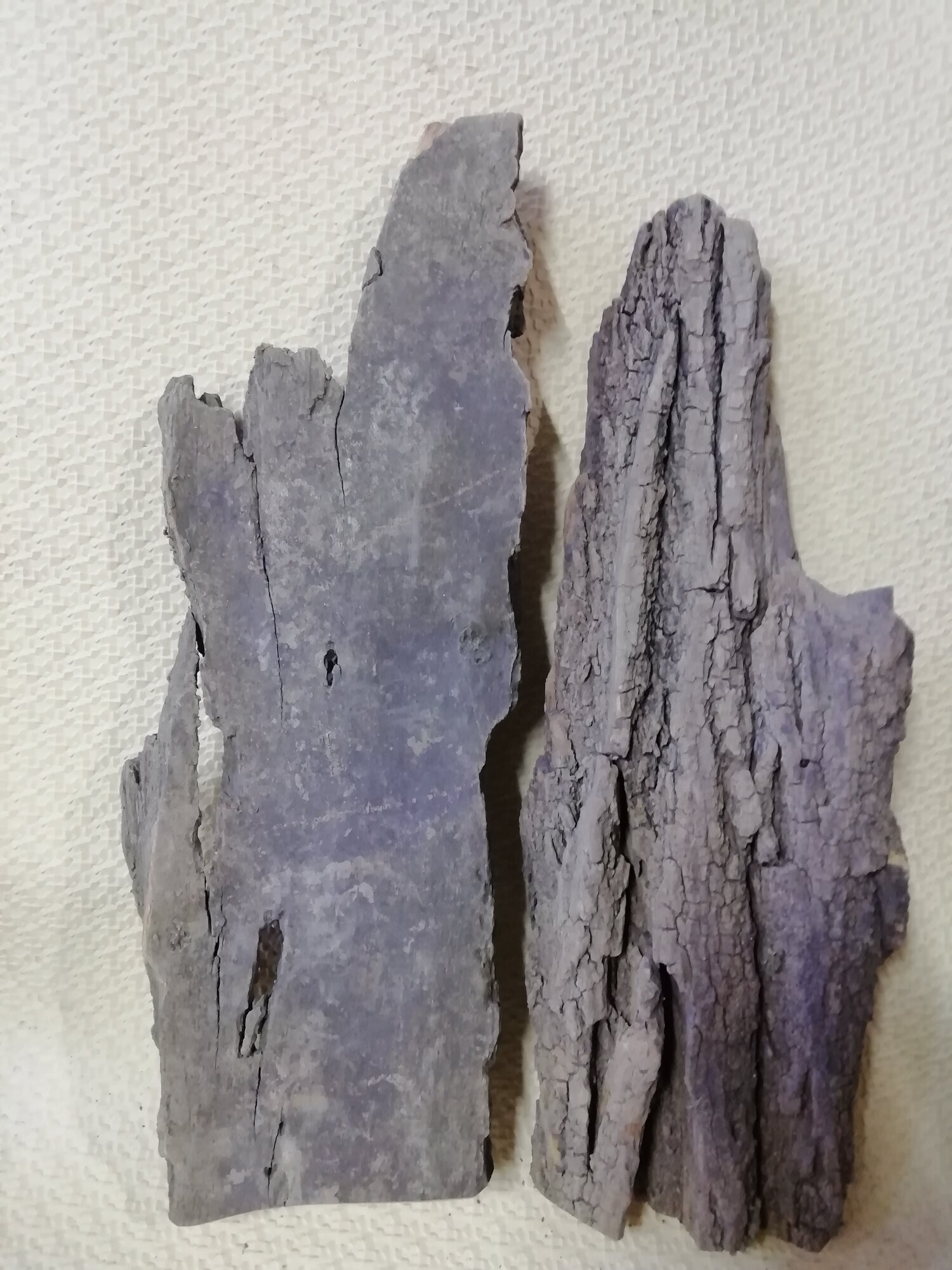 Куски коры акации. Сухой аквариум, террариум. 34см-11см. Две шт.