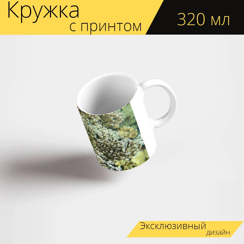 Кружка с рисунком, принтом "Красное море, коралл, тофик" 320 мл.