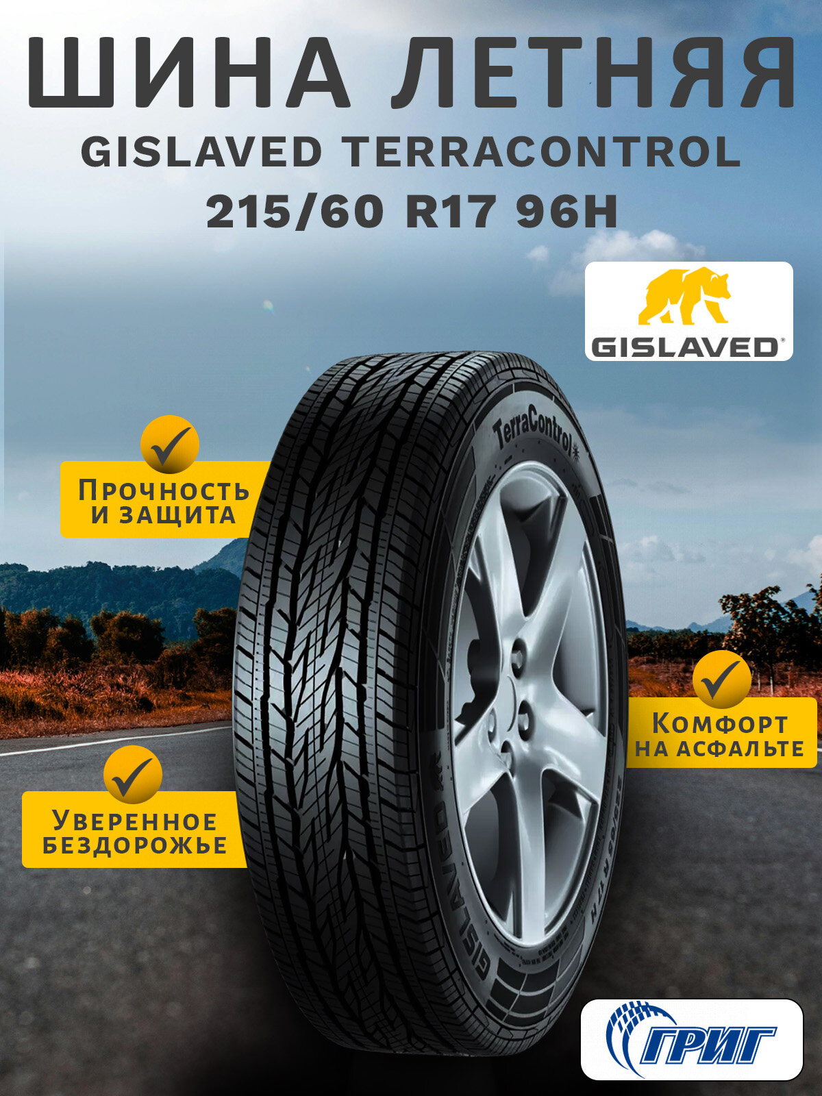 Gislaved TerraControl FR Шины летние 215/60 R17 96H от GrigShina