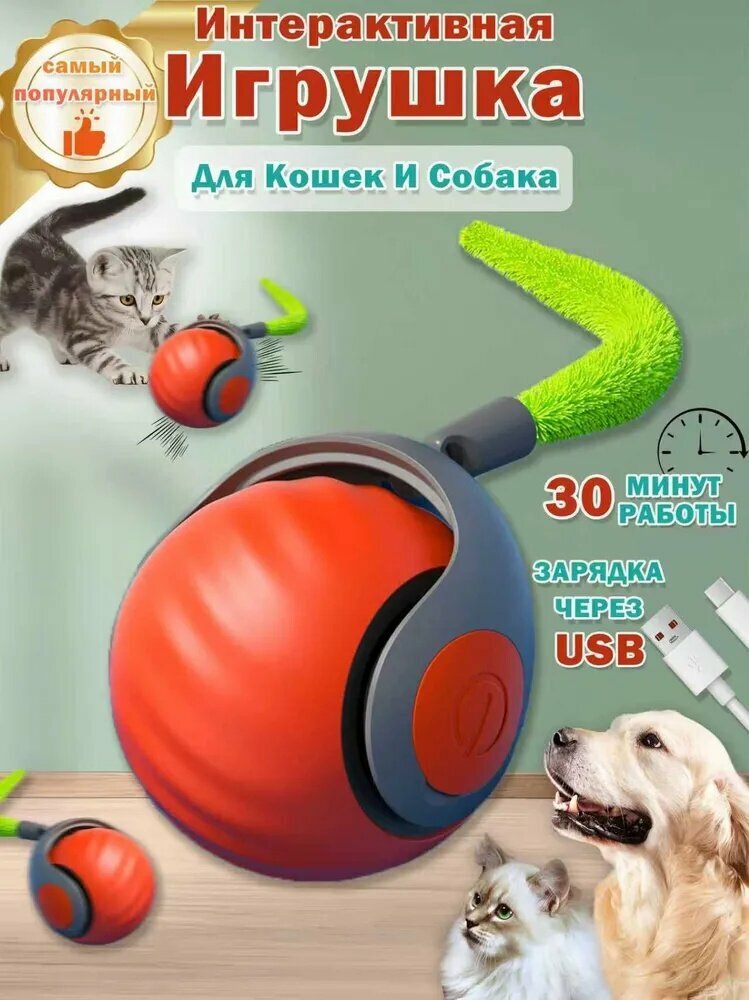 Умный мячик для кошек, игрушки для котят, Зарядка через USB, оранжевый, для собак и кошек