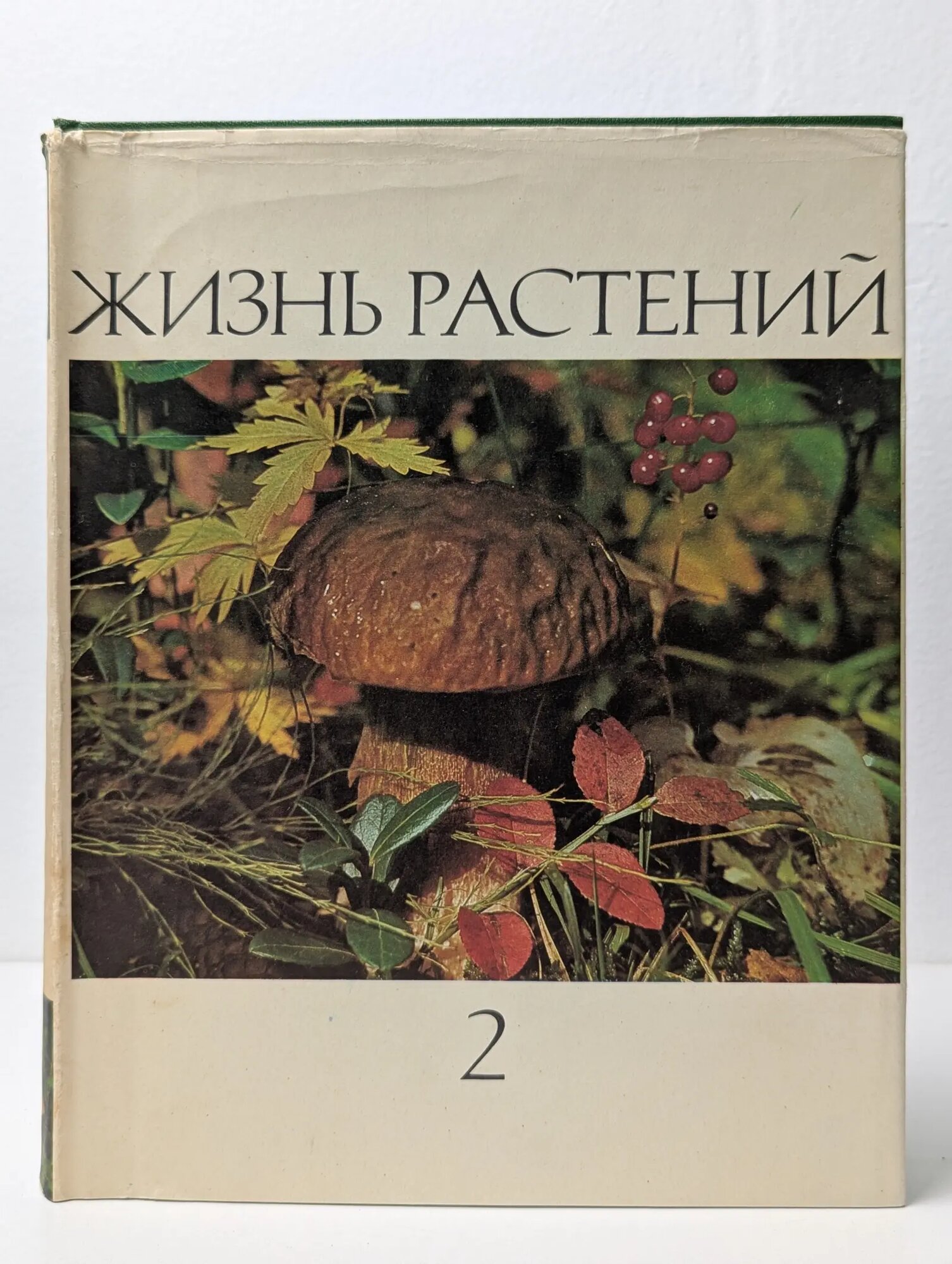Жизнь растений. Том 2. Грибы Горленко Михаил Владимирович (ред.) 1976