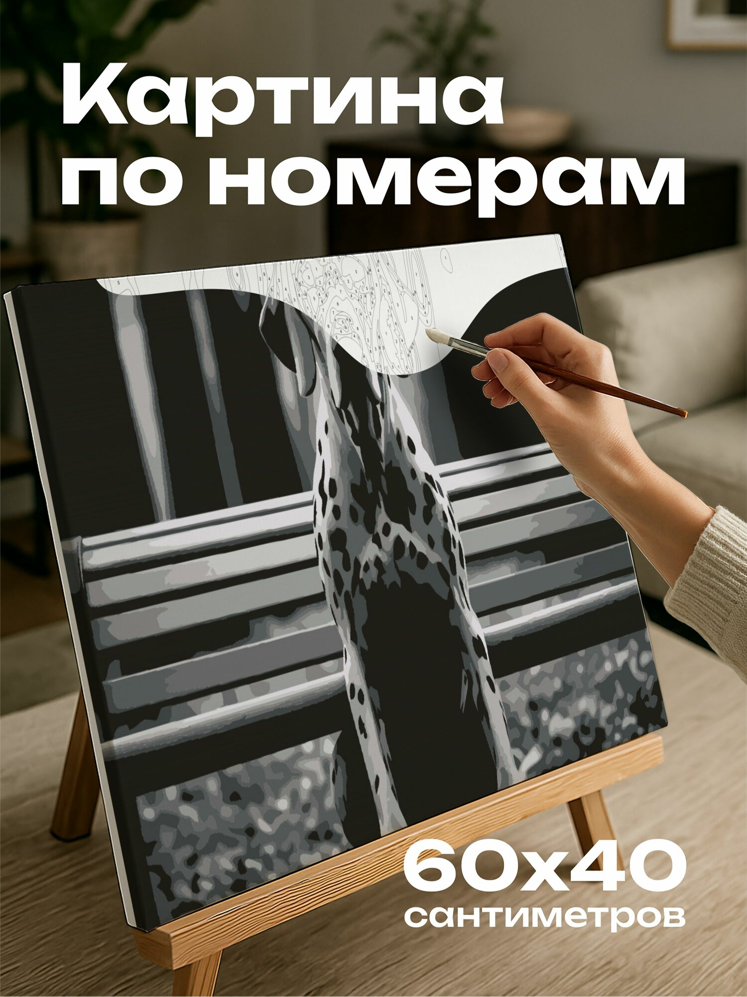 Картина по номерам 60x40 см, черно-белая фотография, далматинец, скамейка, парк, деревья, контраст, монохромная палитра