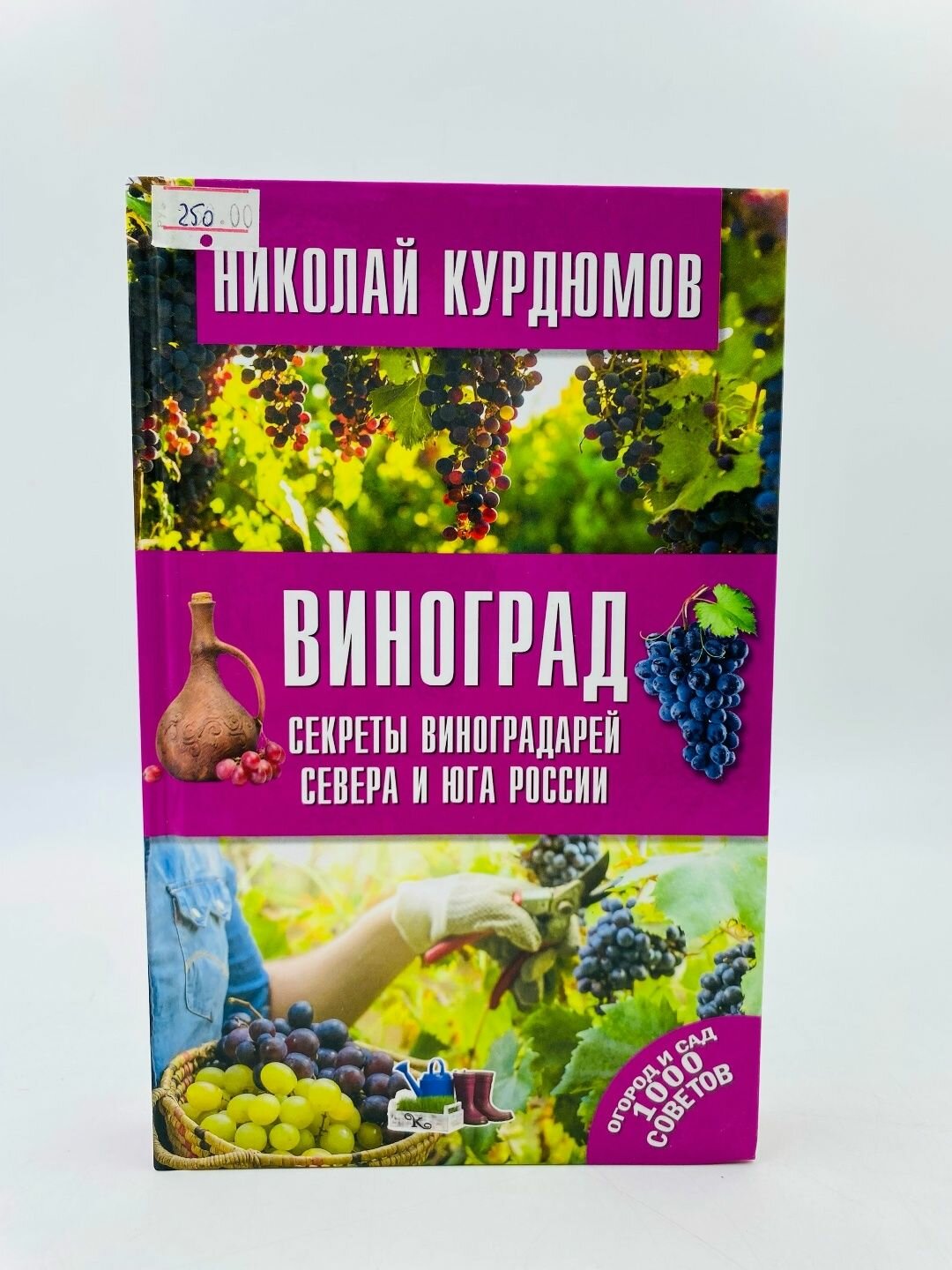Виноград. Секреты виноградарей севера и юга России