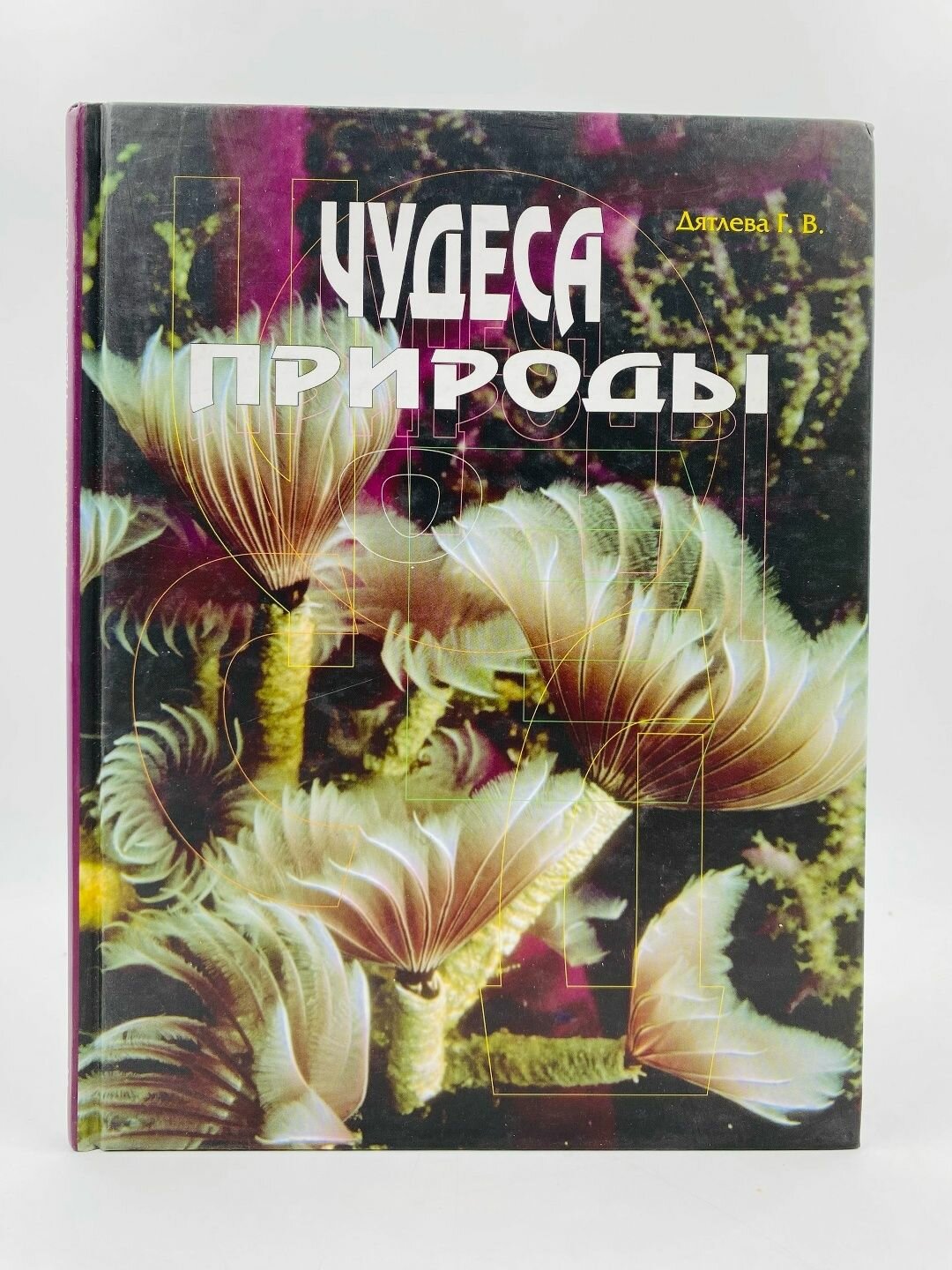 Чудеса природы