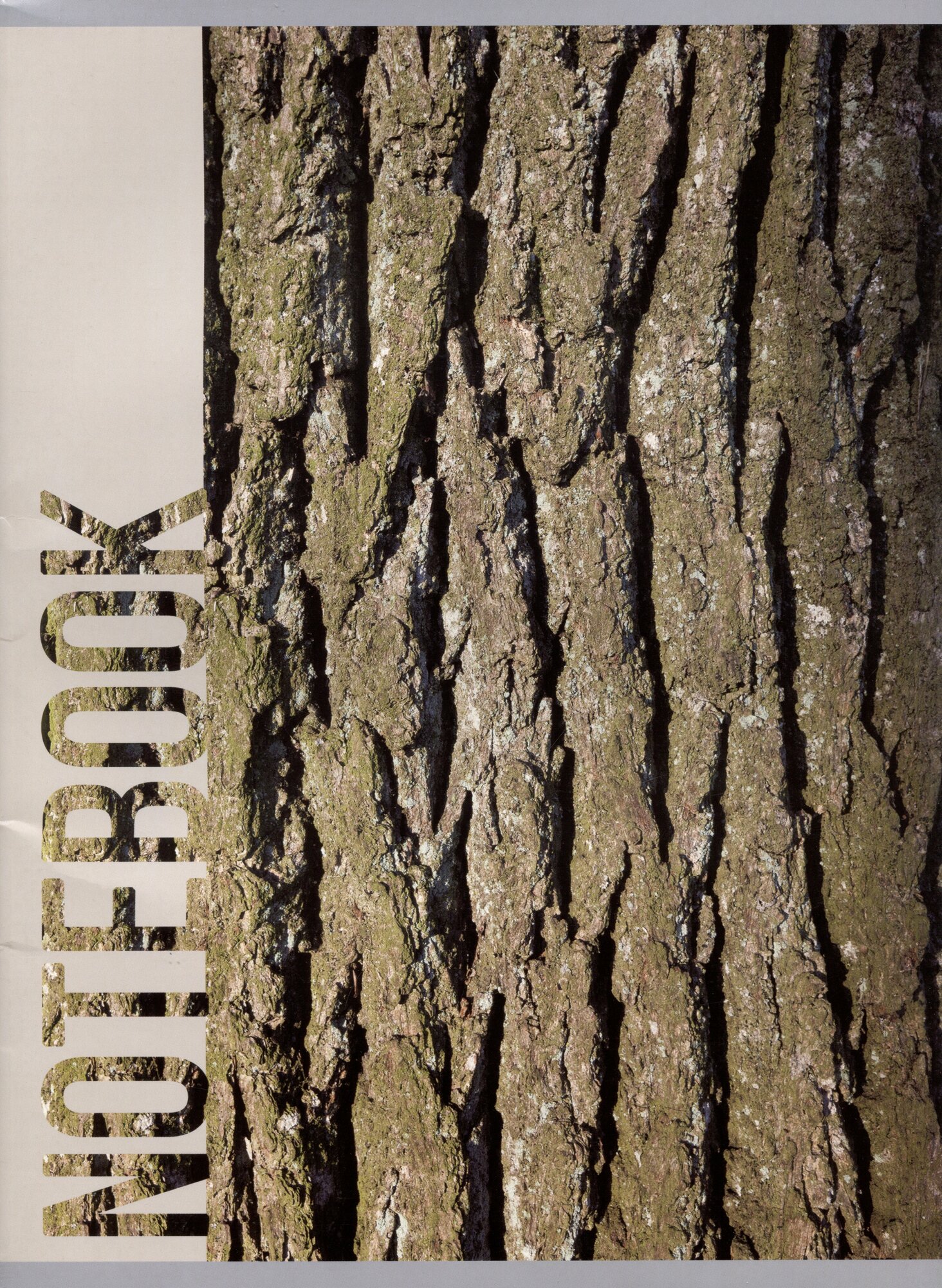 Тетрадь в клетку Listoff, Wood Texture, А4, 80 листов