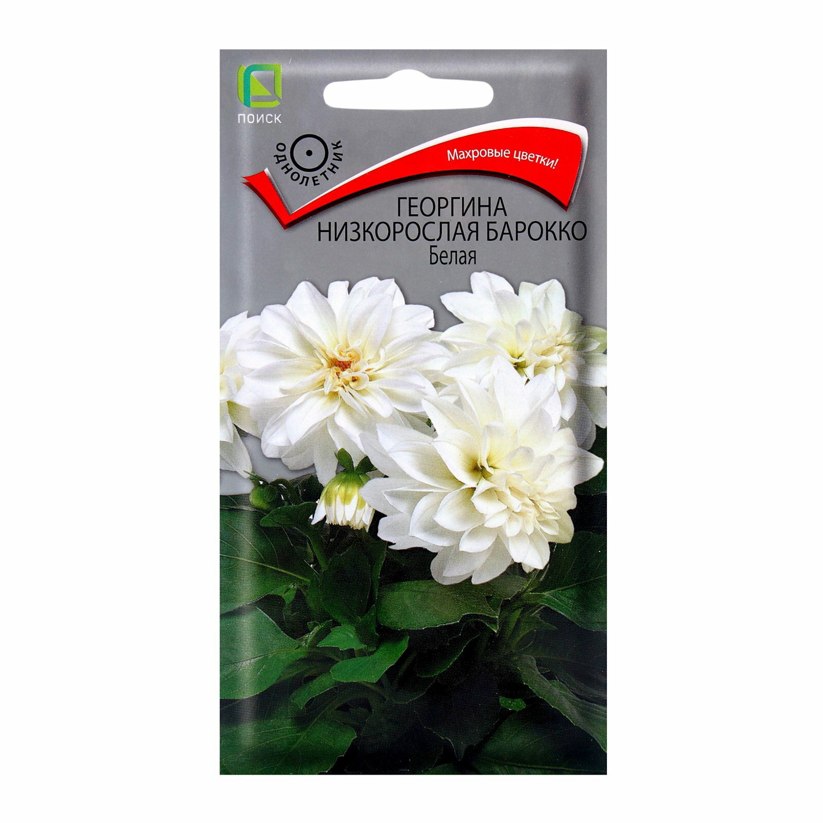 Семена цветов Георгина низкорослая Барокко Белая, 0.1гр, вид: георгина