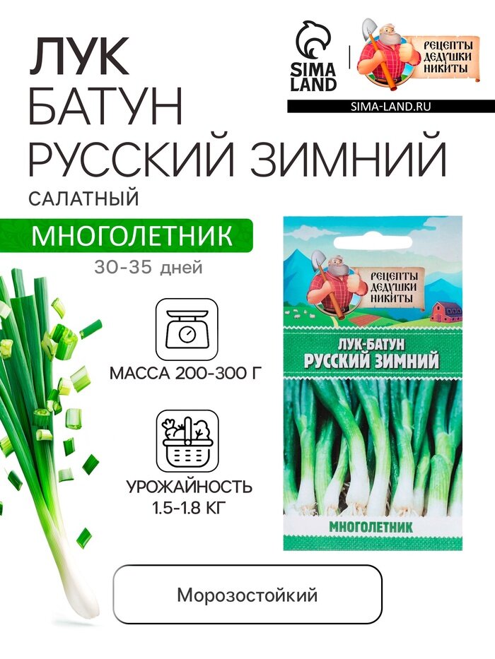 Семена Лук-батун Русский зимний, 0.5 г, многолетник, Рецепты дедушки Никиты, 2 шт.