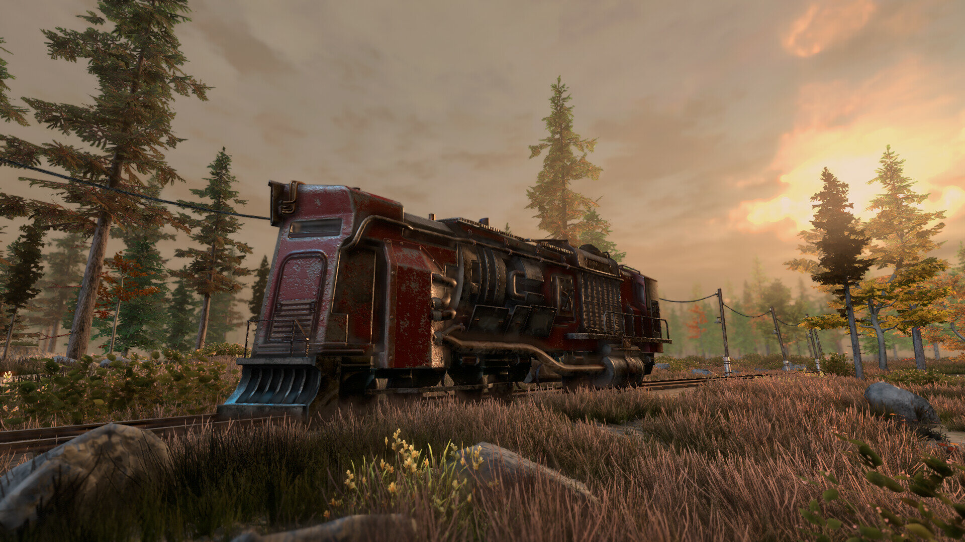 New Cycle Supporter Pack DLC, РФ + СНГ — фото 1
