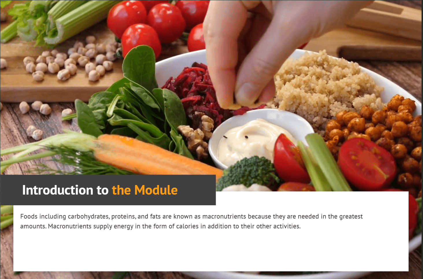 Diet and Nutrition Diploma Alpha Academy Code | купить цифровой ключ для активации в России