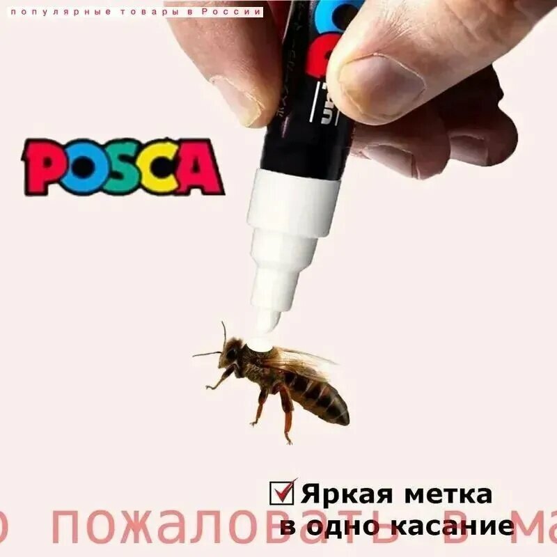 Маркер для метки маток белый / маркер Posca PC 5M, Япония / утолщённый наконечник