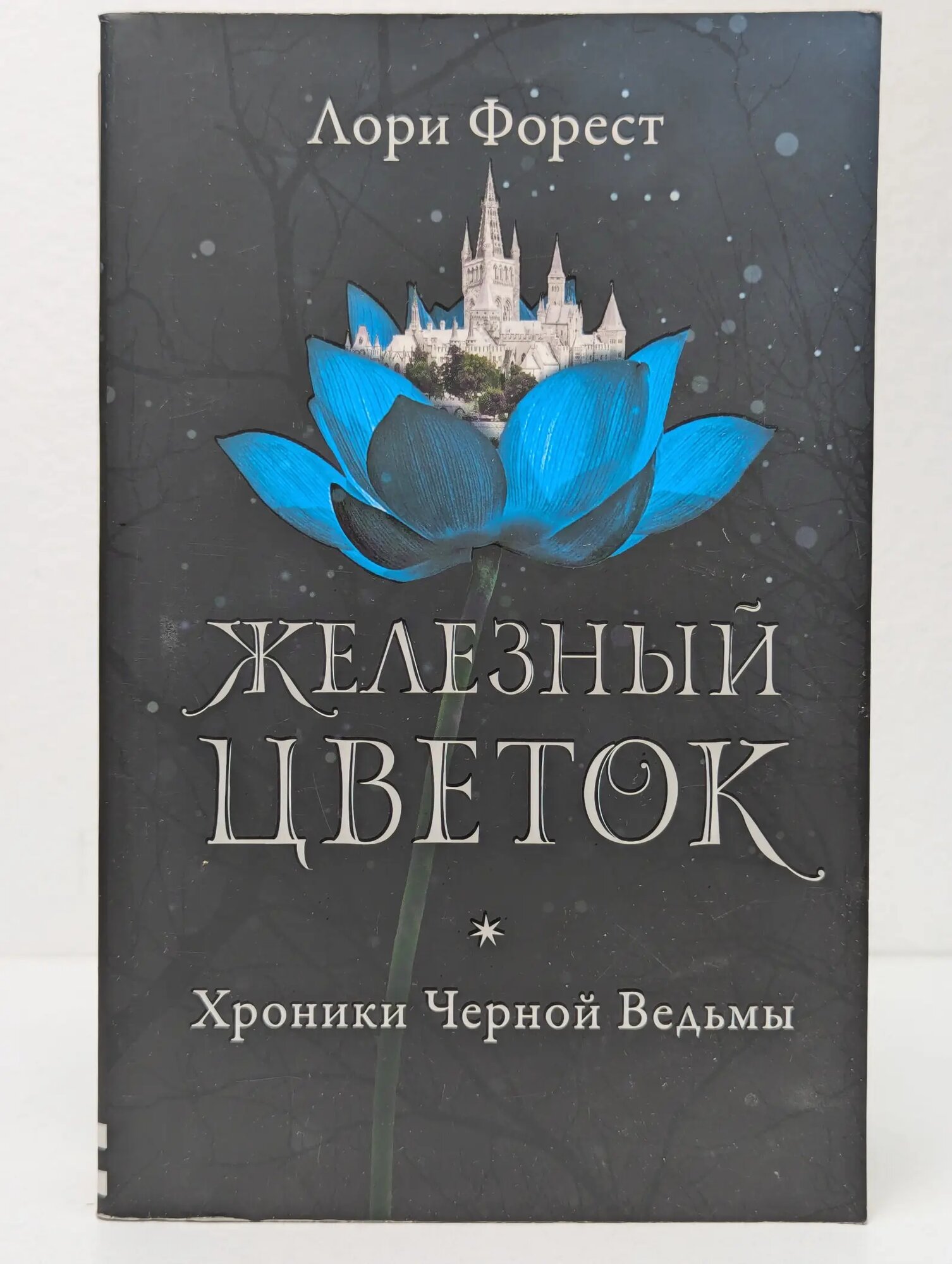 Хроники Черной Ведьмы. Книга 2. Железный цветок Форест Лори 2021