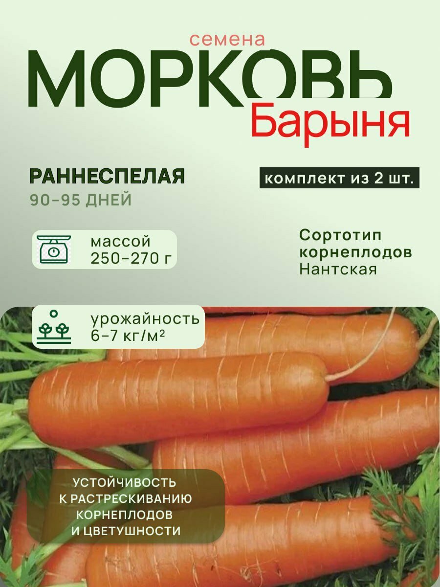 Семена моркови "Барыня" , раннеспелая, для хранения, 2 упаковки