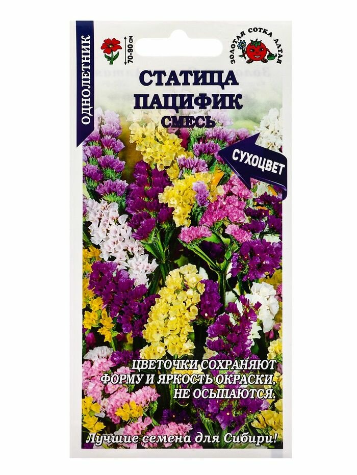 Семена Статица Пацифик , смесь, 0.1 г, сухоцвет, Золотая Сотка Алтая