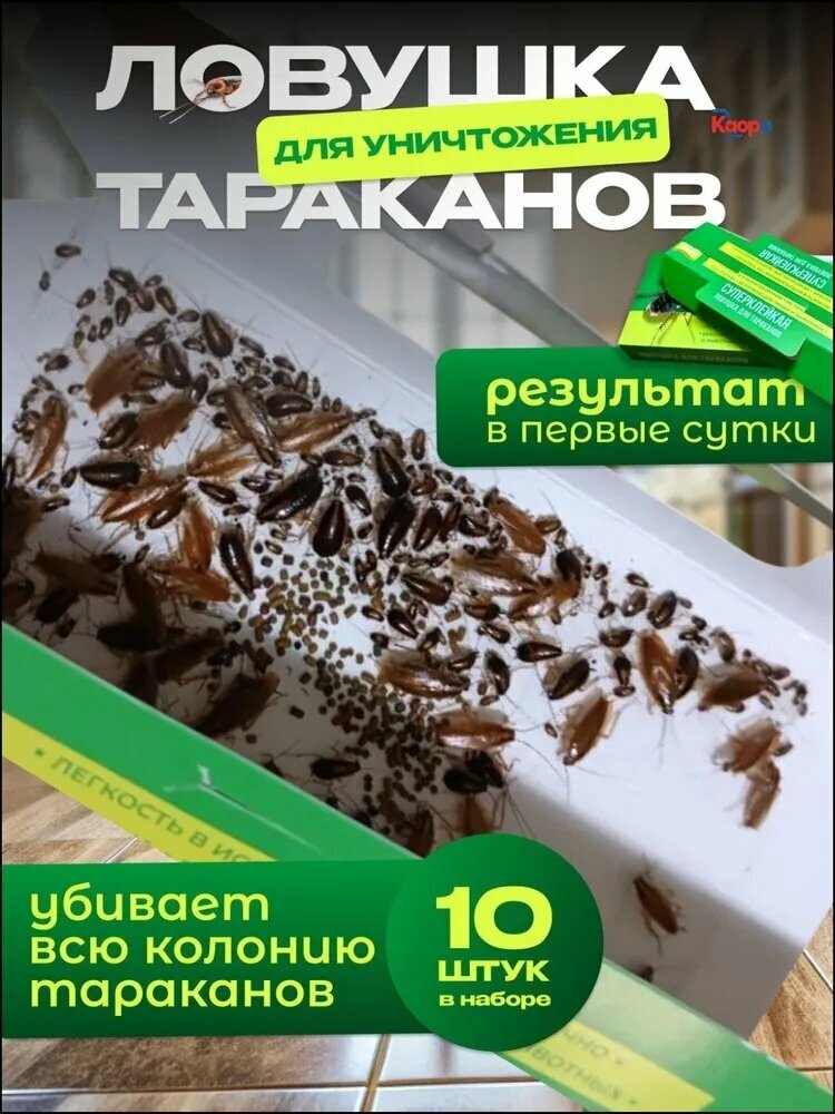 Инновационный инсектицид бестселлер