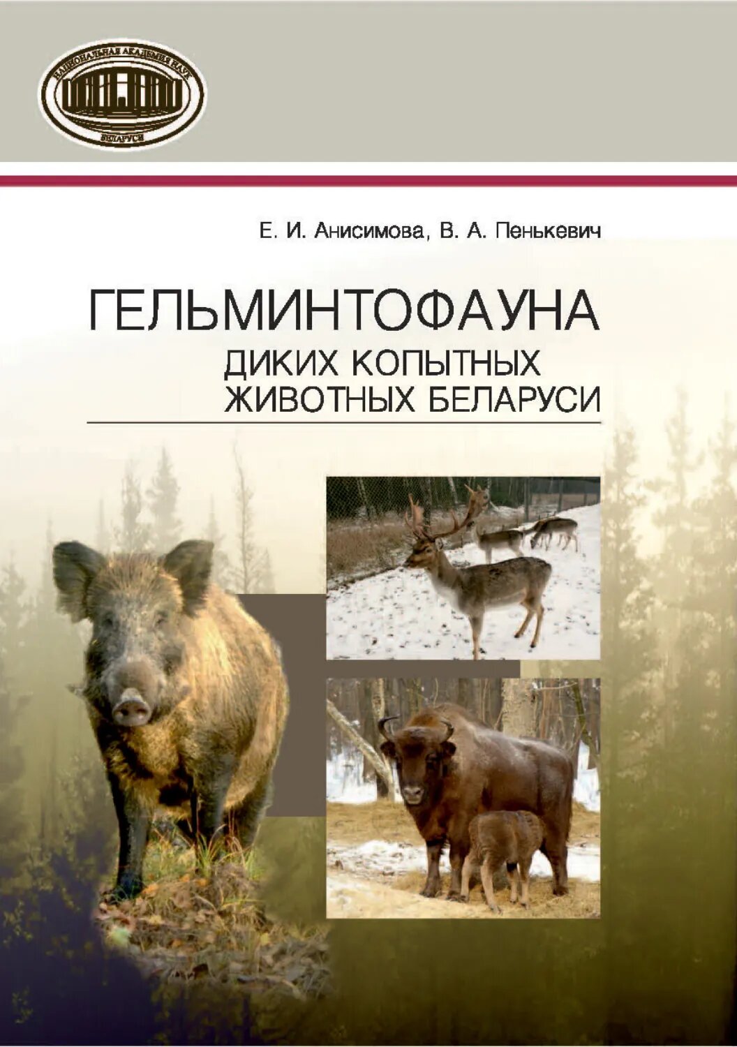 Гельминтофауна диких копытных животных Беларуси [Цифровая книга]