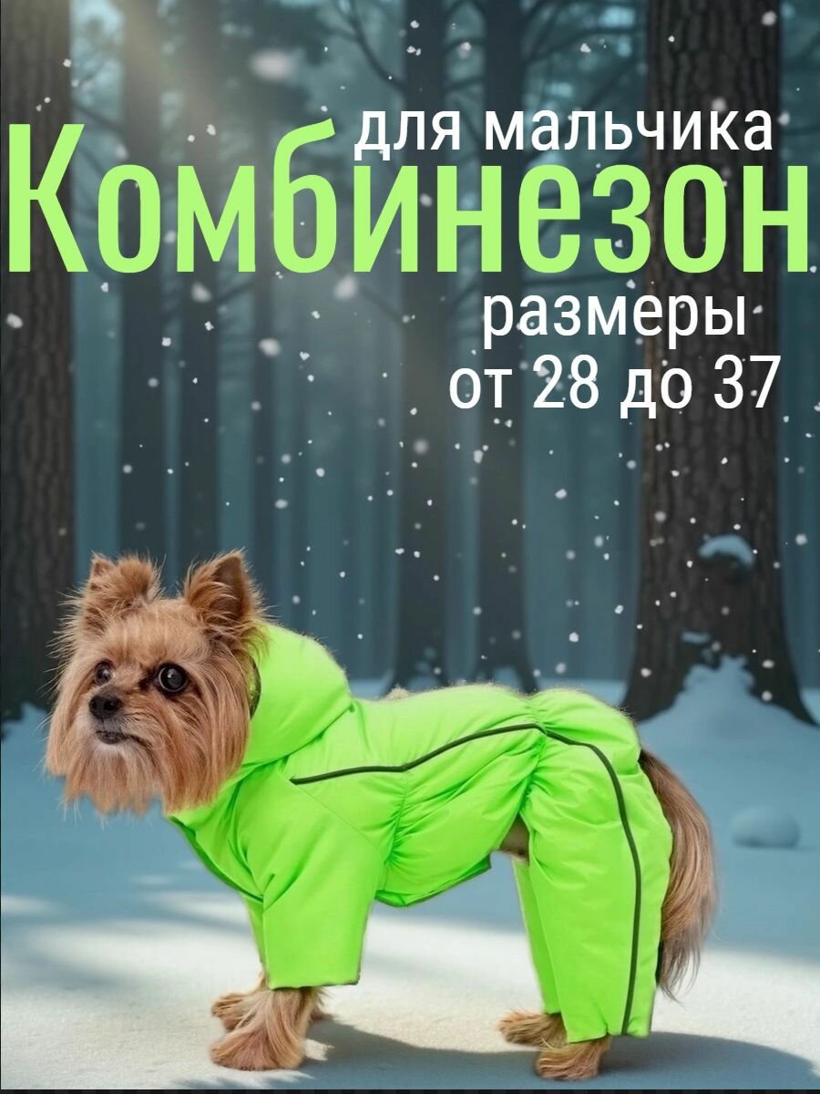 Комбинезон для собак. Мальчик. Размер 35. Лайм
