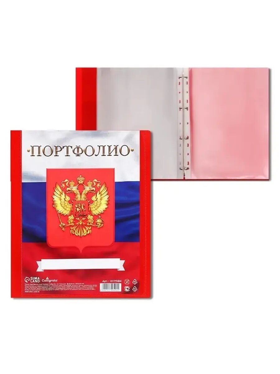 Портфолио А4 с кольцами для школьника