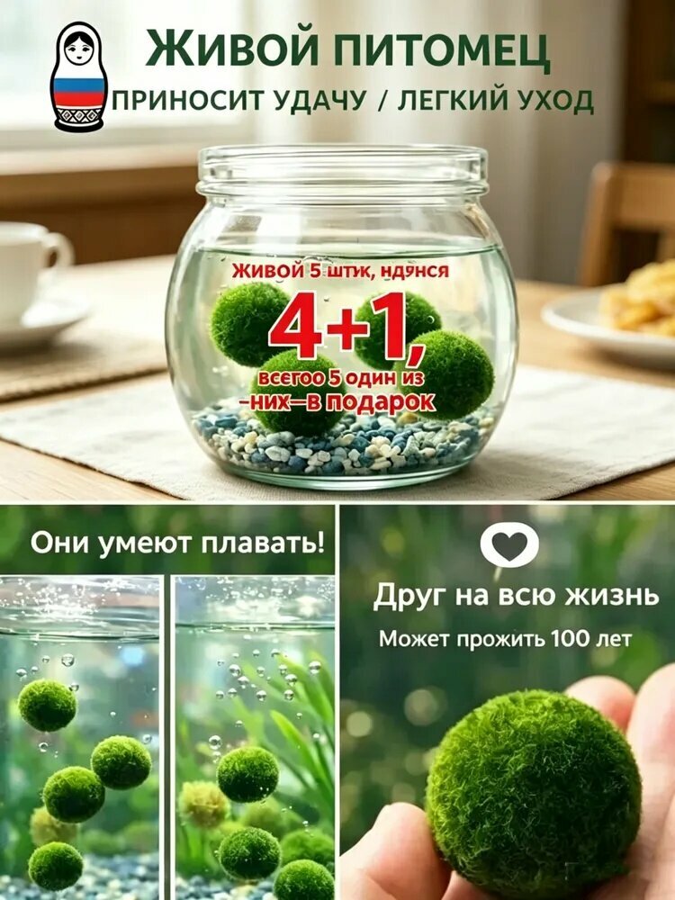 Живые водорослиНабор 4 шт+1, Натуральный мох шарики для аквариума, Символ удачи и любви