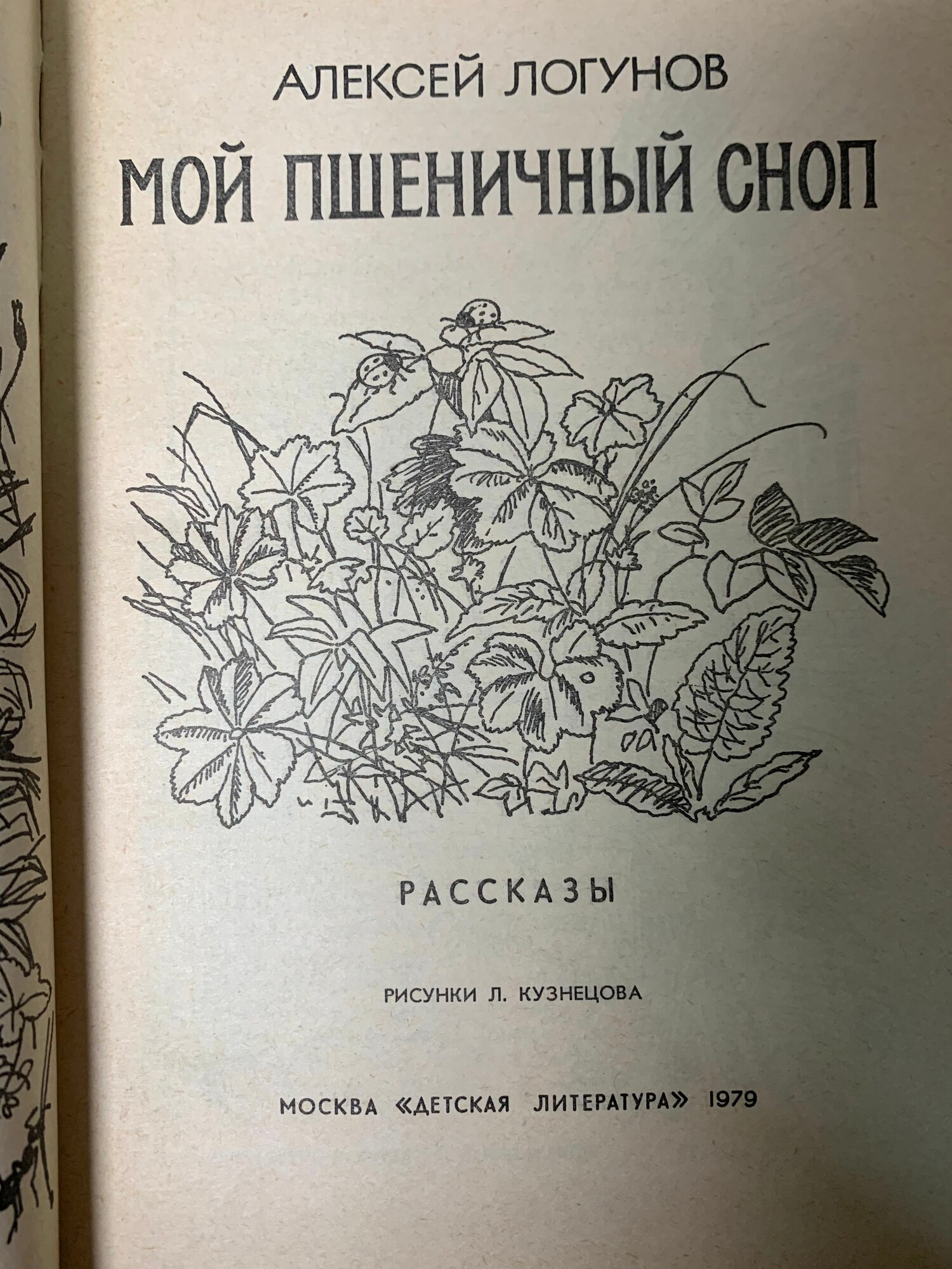 Мой пшеничный сноп — фото 1