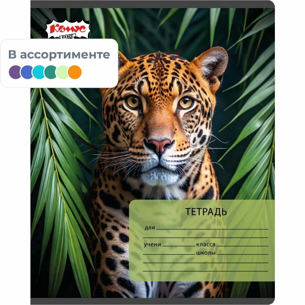 Тетрадь школьная А5 24л клетка Комус Класс Дикие животные ассорти 2021693, 2021708