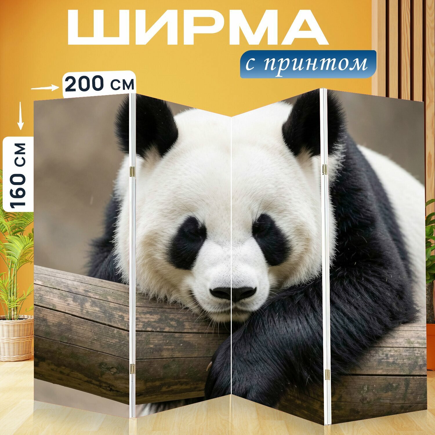Ширма "Большая панда на бревне. Черно-белый бамбуковый медведь в крупном плане спокойно лежит на деревянной." перегородка для зонирования комнаты с принтом 200x160 см. на холсте
