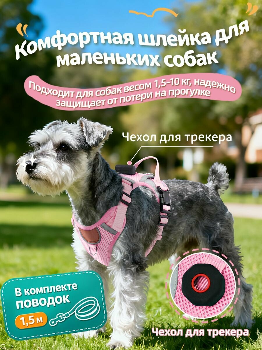 Шлейка для собак мелких пород с карманом для AirTag, анатомическая светоотражающая шлейка-жилет для щенков, с поводком