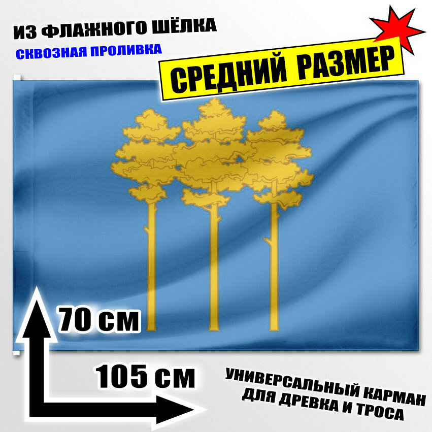 Флаг средний Димитровграда 105x70 см