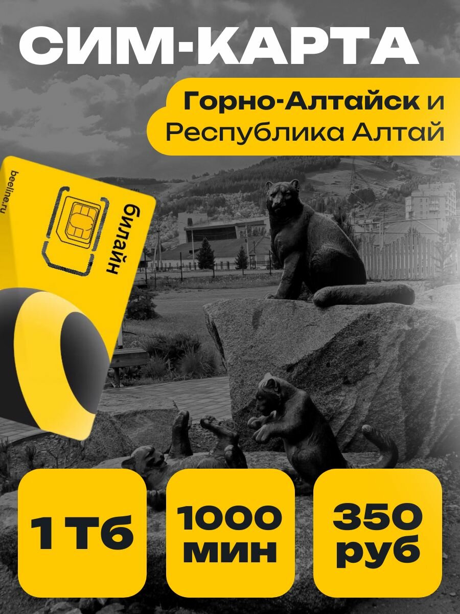 Сим-карта Билайн тариф Эксклюзивный Плюс Республика Алтай 1000 Гб + 1000 минут за 350 руб.