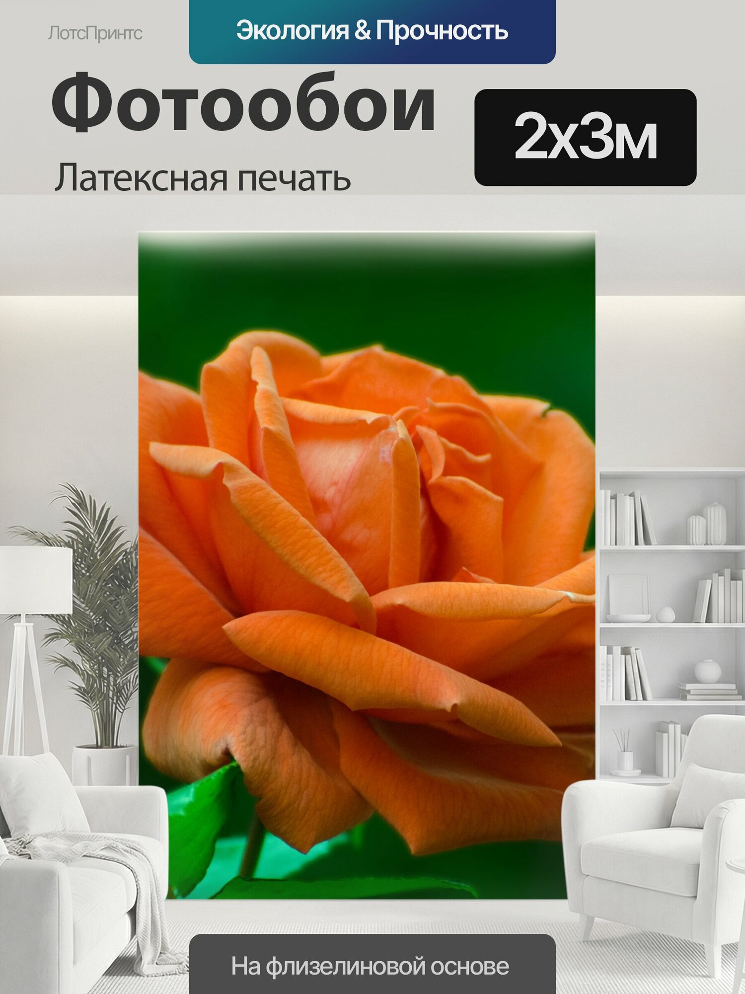 Фотообои моющиеся ударопрочные "Цветок цветок на зеленом фоне цветок лето весна садоводство сад цветущий естественно флора цвет" 200x300 см. латексная печать