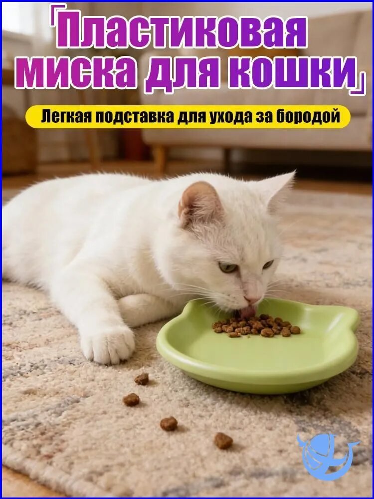 Качественный низкий пластиковый кормушечный лоток для подачи консервов и сухого корма, применяемый взрослыми кошками и котятами