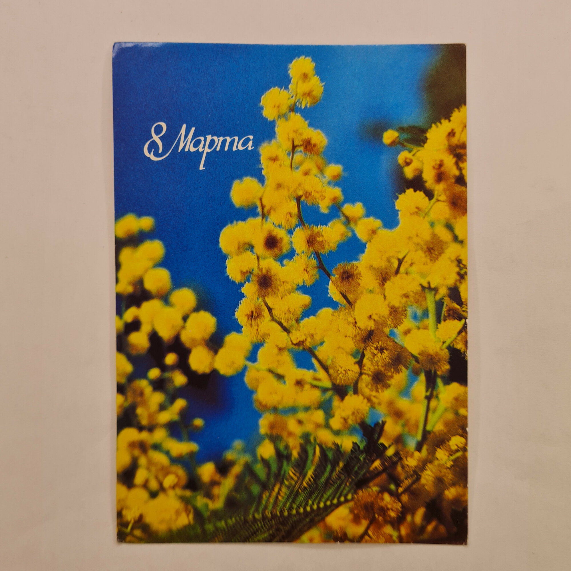 Открытка винтажная, СССР. Цветы mimosa, 8 Марта