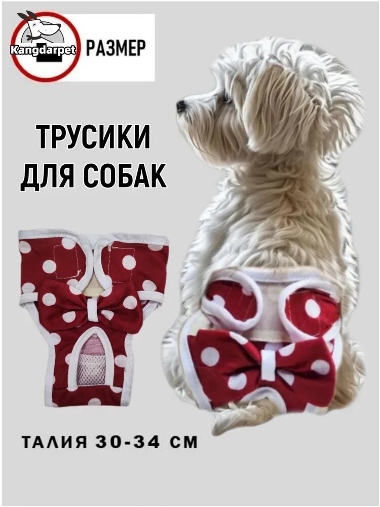 Трусы для питомцев в период течки, многоразового использования, размера L, для мелких пород и кошек, обхват талии 3034 см, красный окрас в горошек, качественный