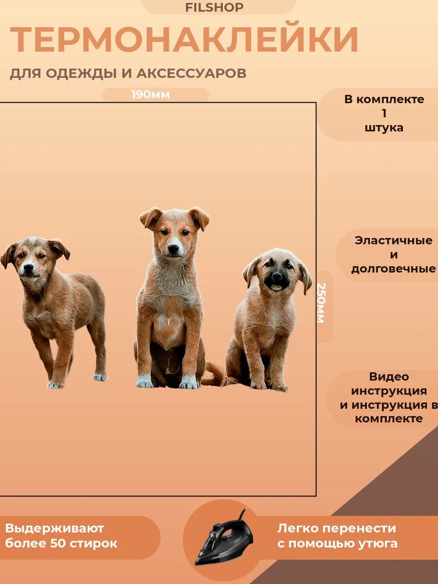 Термонаклейка на одежду