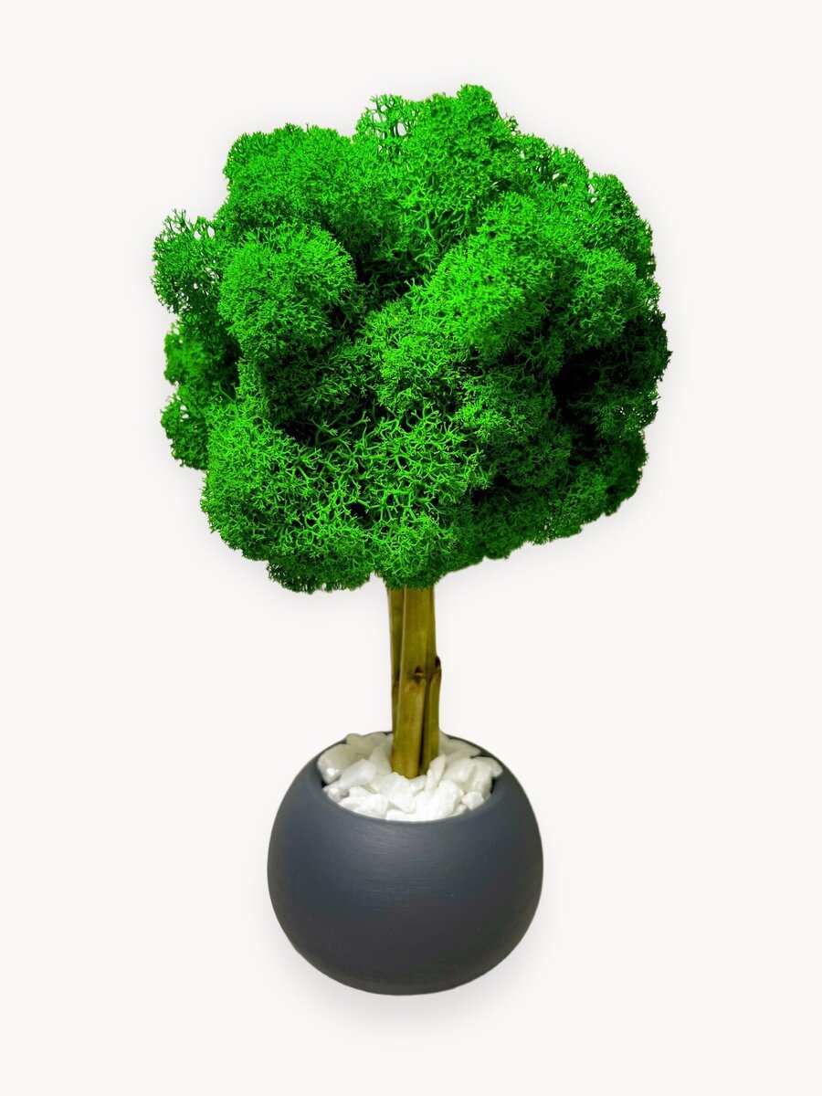 Дерево Artesthetics64 с мхом, стабилизированное, в кашпо, 20 см, серый