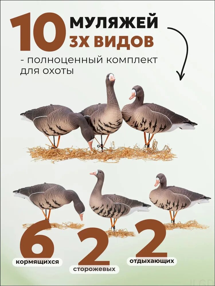 Чучела белолобых гусей комплект 10 шт сминаемые не бликуют для охоты — фото 1