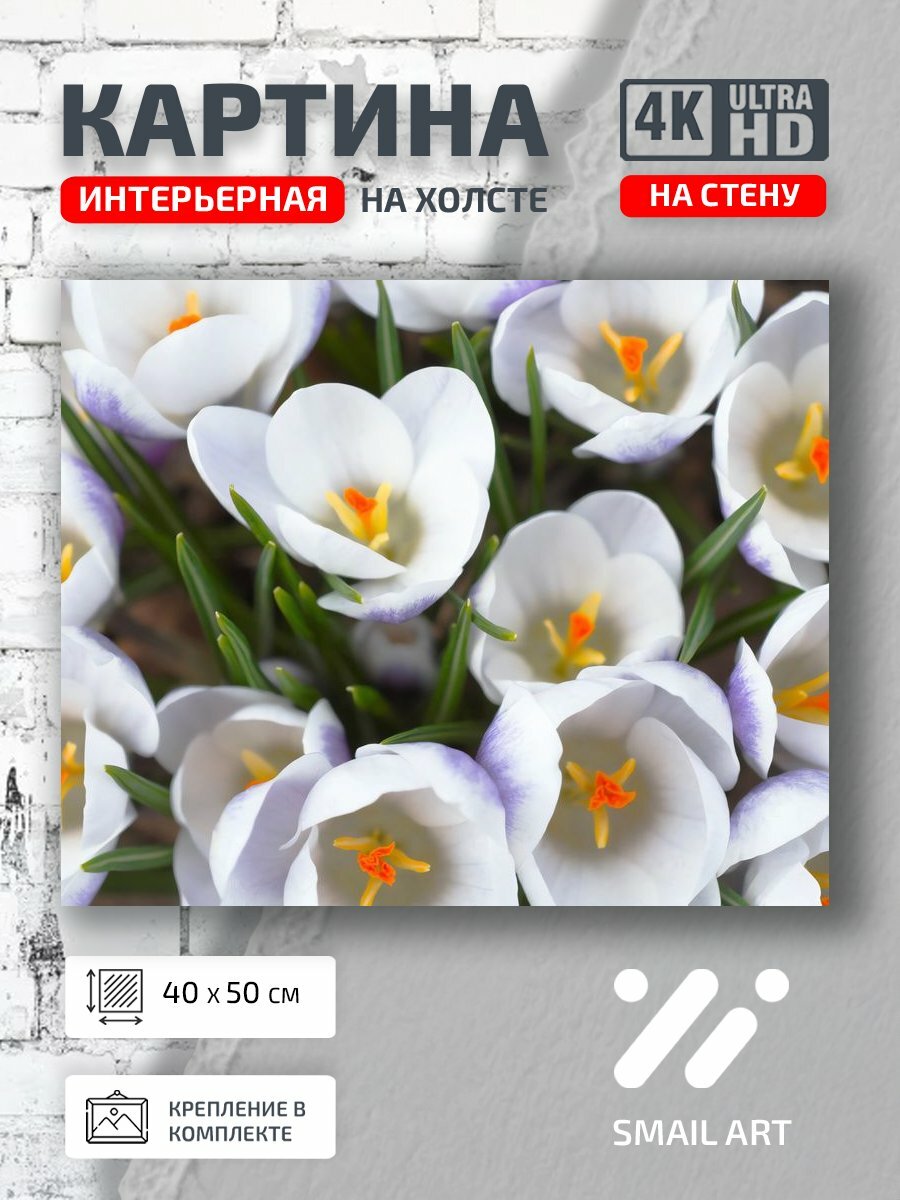 Картина на холсте интерьерная 40 на 50 на стену Весна Landscape для кафе пейзаж интерьер