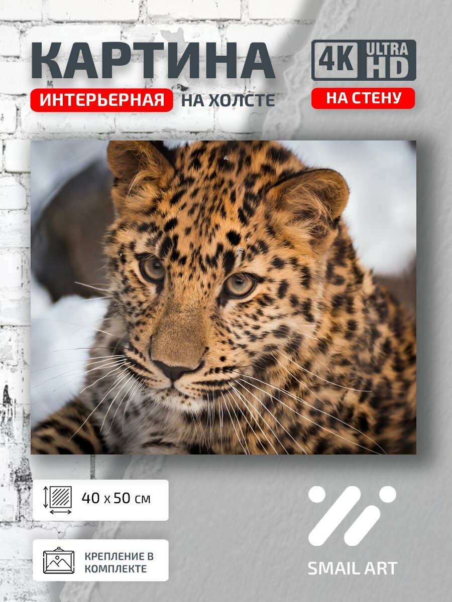 Картина на холсте интерьерная 40 на 50 на стену Взгляд Mood для спальни атмосфера интерьер