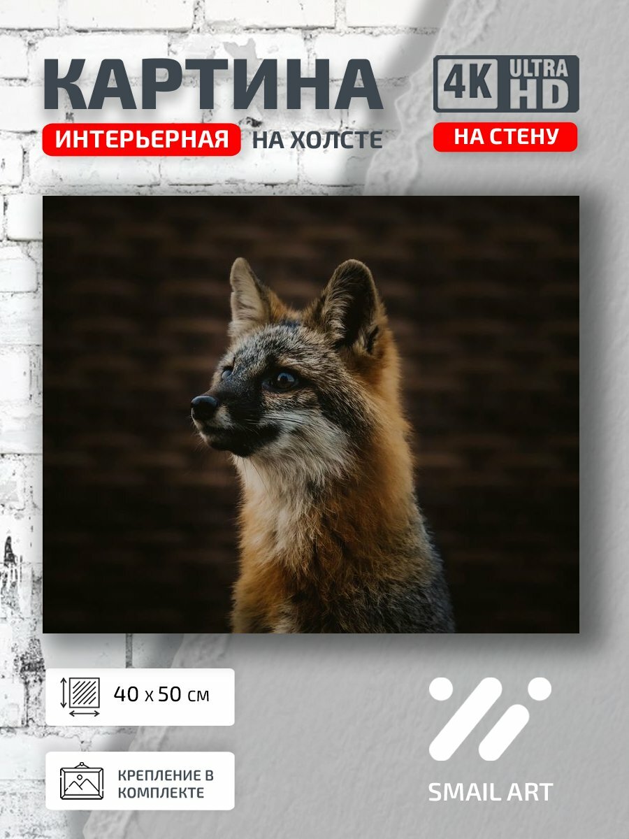 Картина на холсте интерьерная 40 на 50 на стену Мордочка Animal для детской animal style