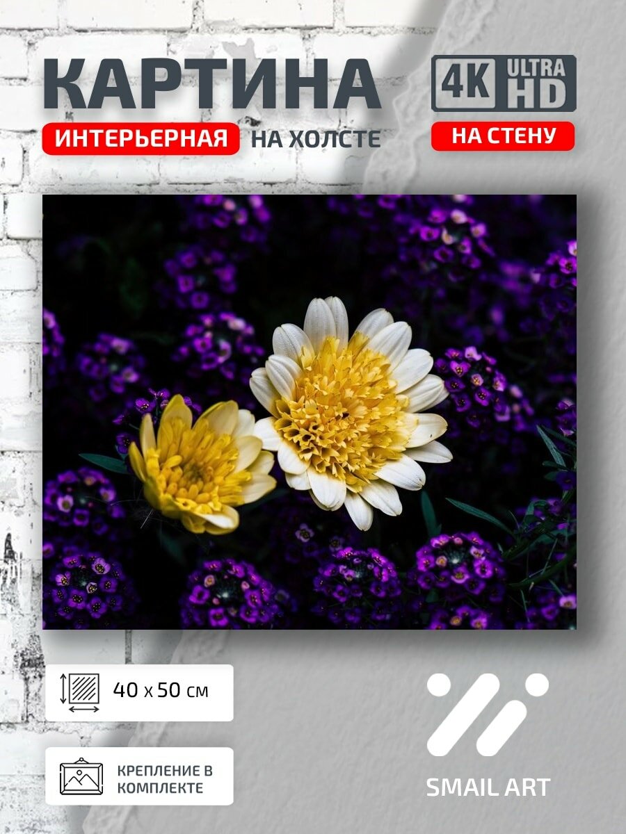 Картина на холсте интерьерная 40 на 50 на стену Природа Хризантема для кафе пейзаж