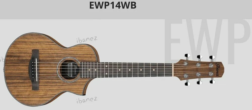 Ibanez Акустическая гитара PA300E/EWP14WB /JS140M/JIVAJR/JBM10FX/ MGFM10 /EWP12EWB/JBBM30/ YY20